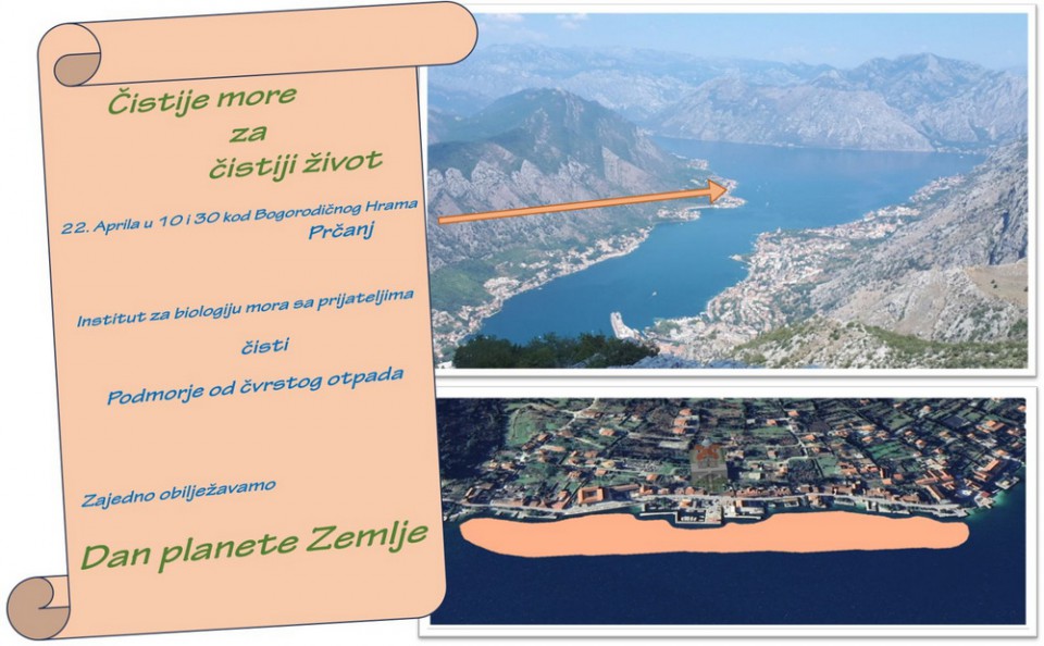 Institut za biologiju mora sa prijateljima organizuje čišćenje morskog dna - Vijesti | Radio ...